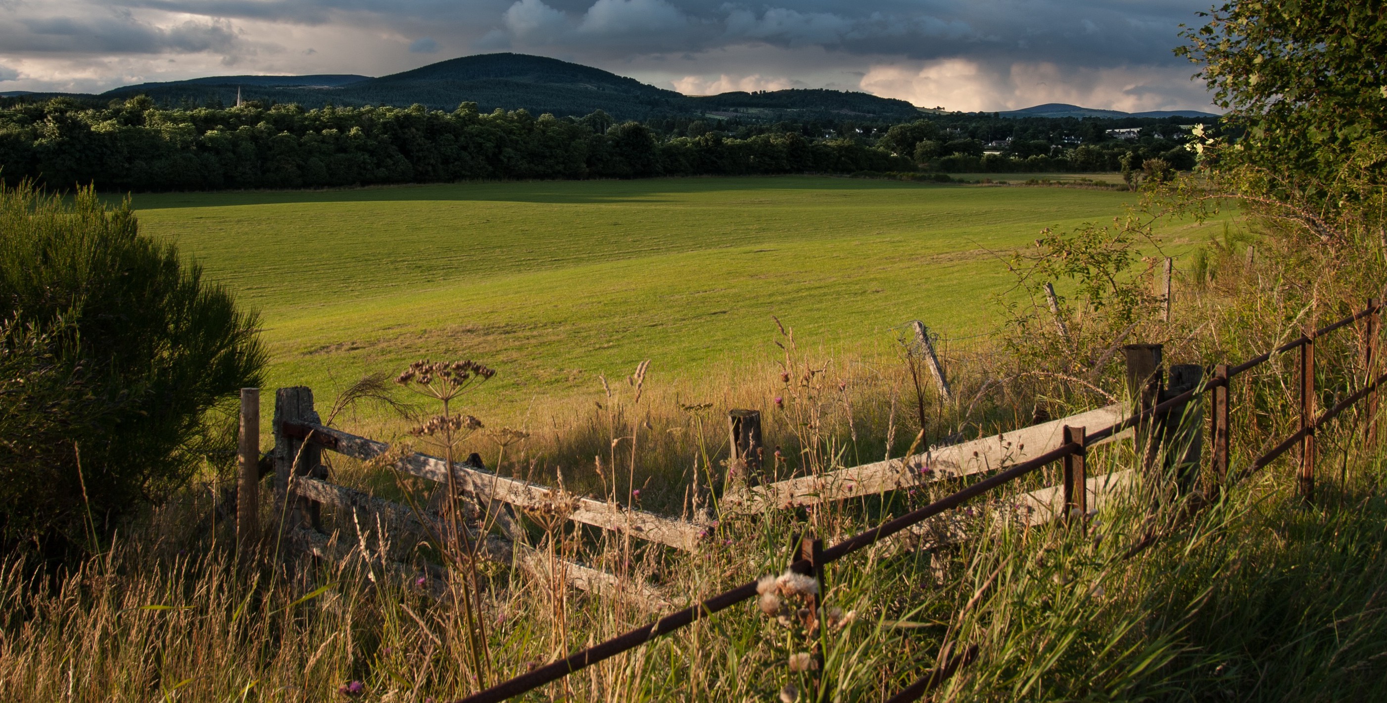 Taking the Narrow Gate – The Wayward Catholic